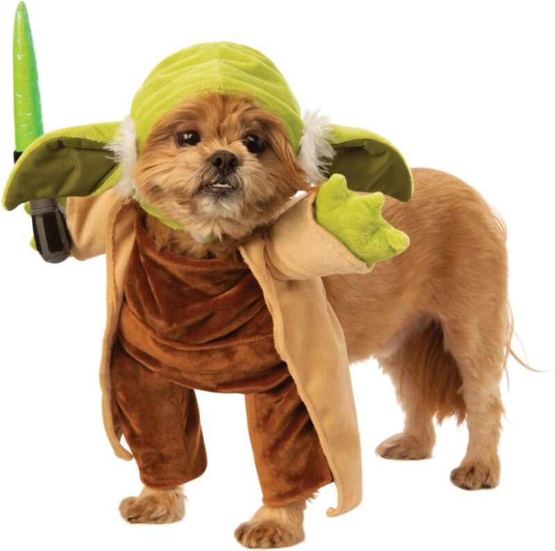 The 12 Best Viral Halloween Dog Costumes of 2020
