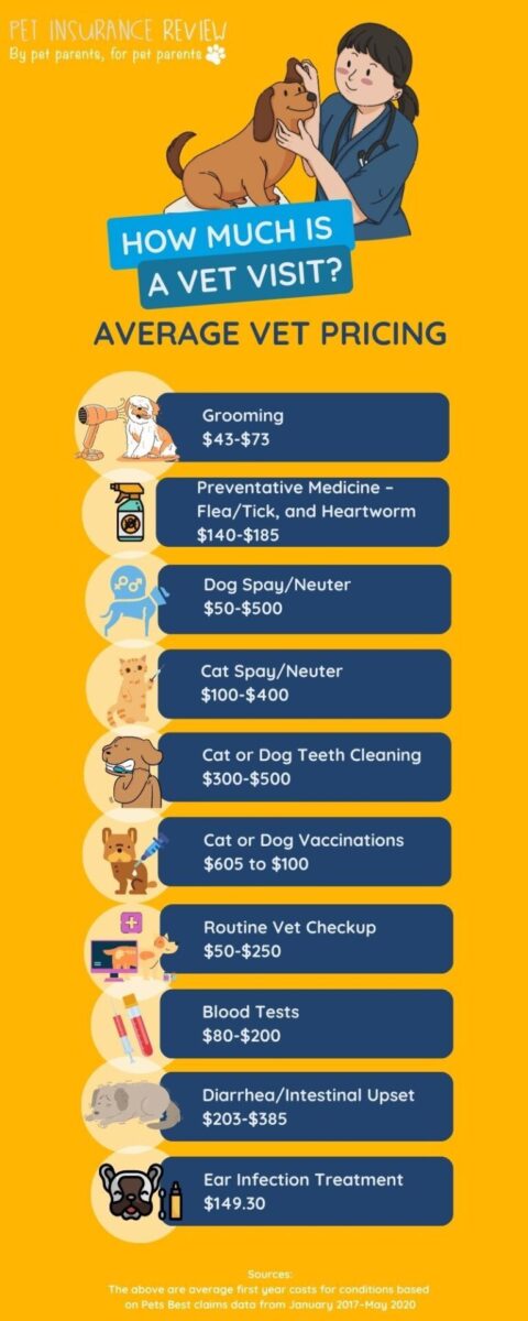 When Should You Get Pet Insurance? - Pet Insurance Review