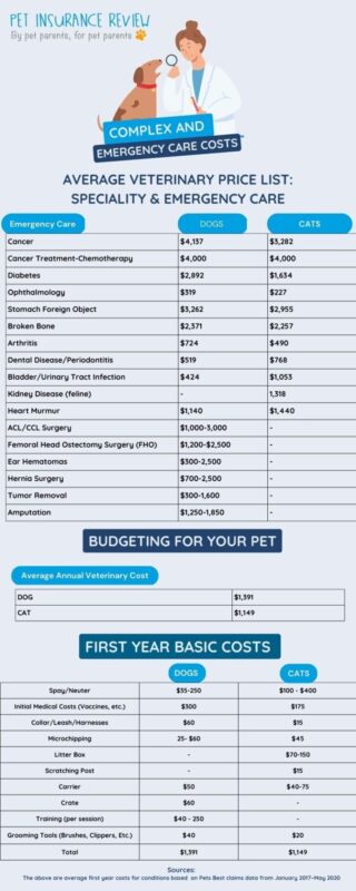 When Should You Get Pet Insurance? - Pet Insurance Review