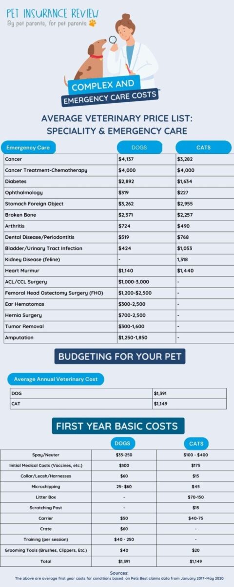 When Should You Get Pet Insurance? - Pet Insurance Review
