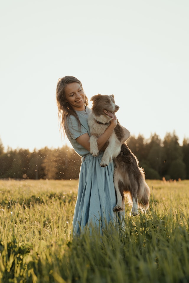 Same Day Pet Insurance: Does it Exist? - Pet Insurance Review